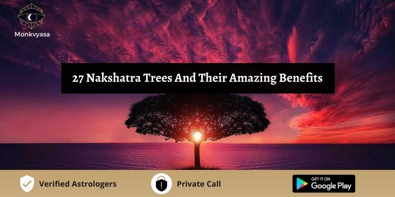 https://www.monkvyasa.com/public/assets/monk-vyasa/img/27 Nakshatra Trees And Their Amazing ...